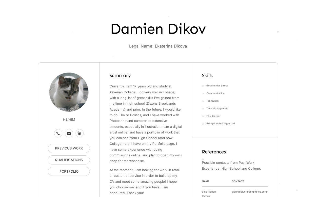 Damien's CV